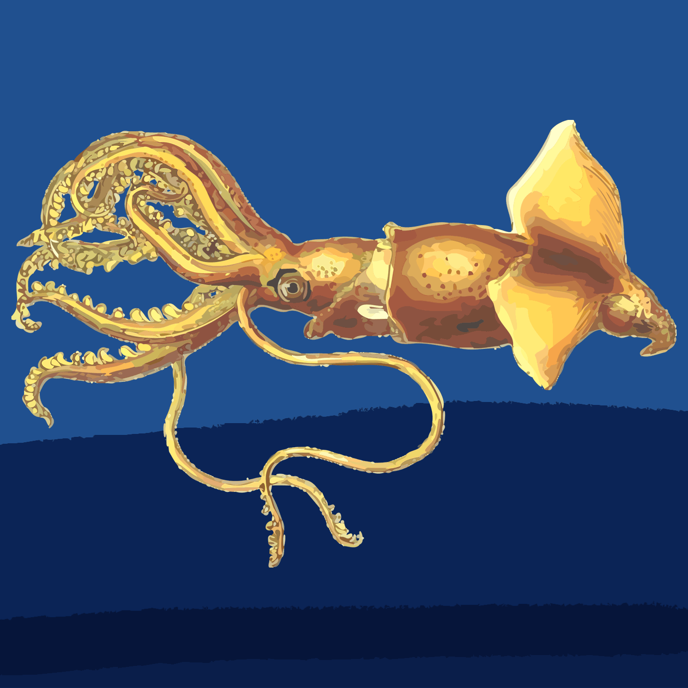 The Boy in the Submarine – episode 3: Colossal Squid – The Boy in the ...